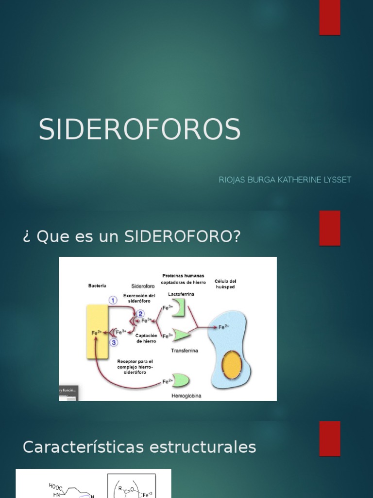 SIDEROFOROS | PDF