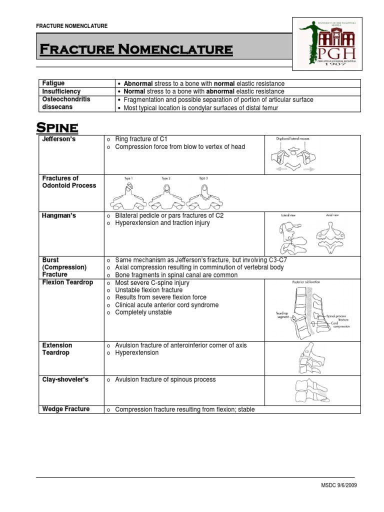 Fracture Nomenclature | PDF | Vertebra | Vertebral Column