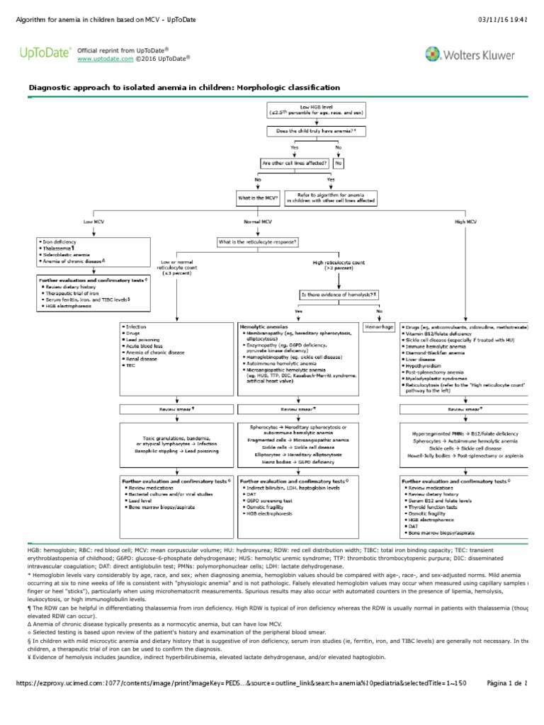 Algorithm For Anemia in Children Based On MCV - UpToDate | PDF | Anemia ...