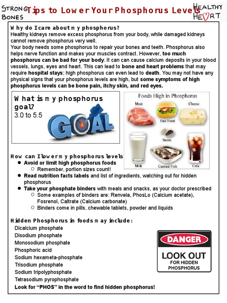 Phosphorus Handout Word Search | PDF | Phosphorus | Phosphate