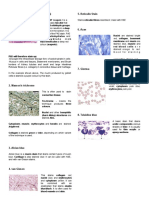 Histology Stains | PDF | Staining | Histology
