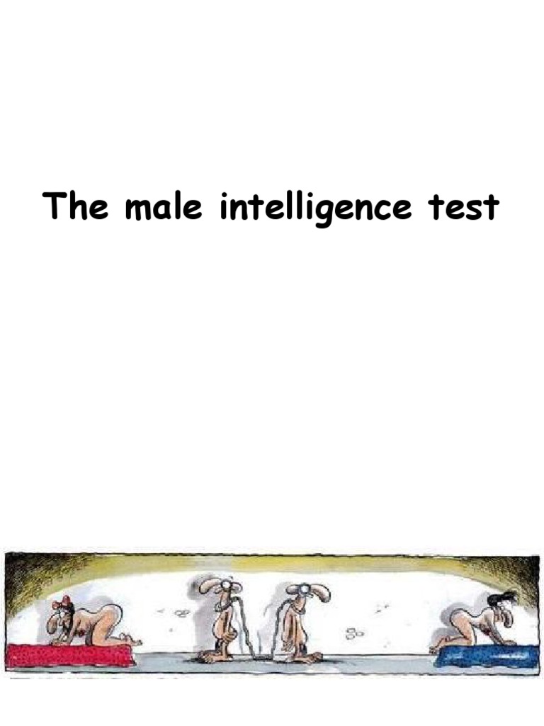Male Intelligence Test Overview | PDF