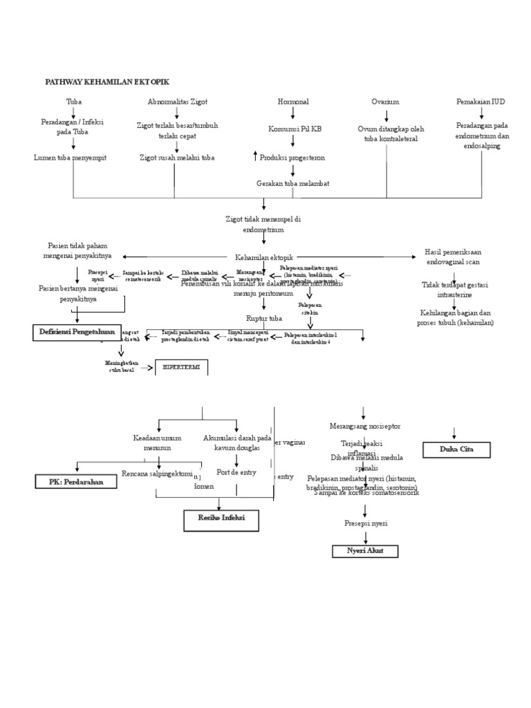 Pathway Kehamilan Ektopik Teragnggu | PDF