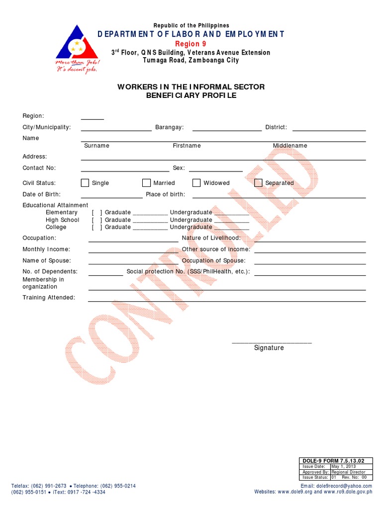 DILP Beneficiary Profile | PDF | Economies | Government