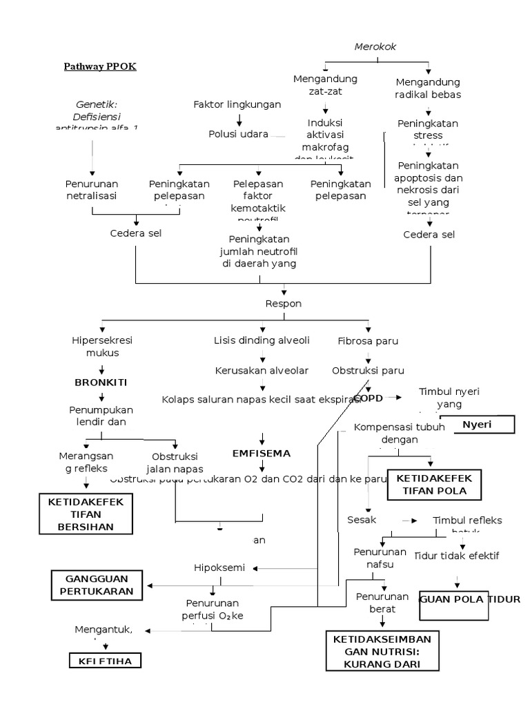 Pathway COPD | PDF