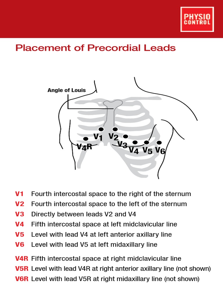 Precordial Leads Placement Card | PDF