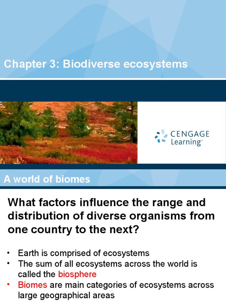 Chapter 3: Biodiverse Ecosystems | PDF | Natural Environment ...