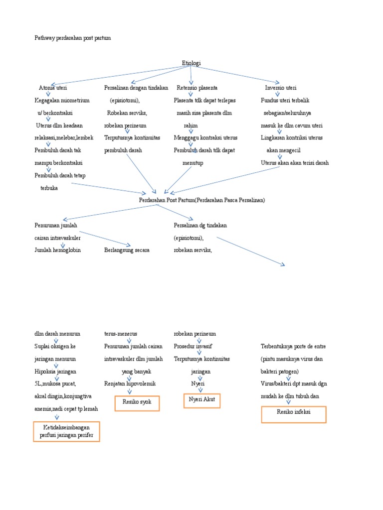 Pathway Perdarahan Post Partum dan Etiologi | PDF