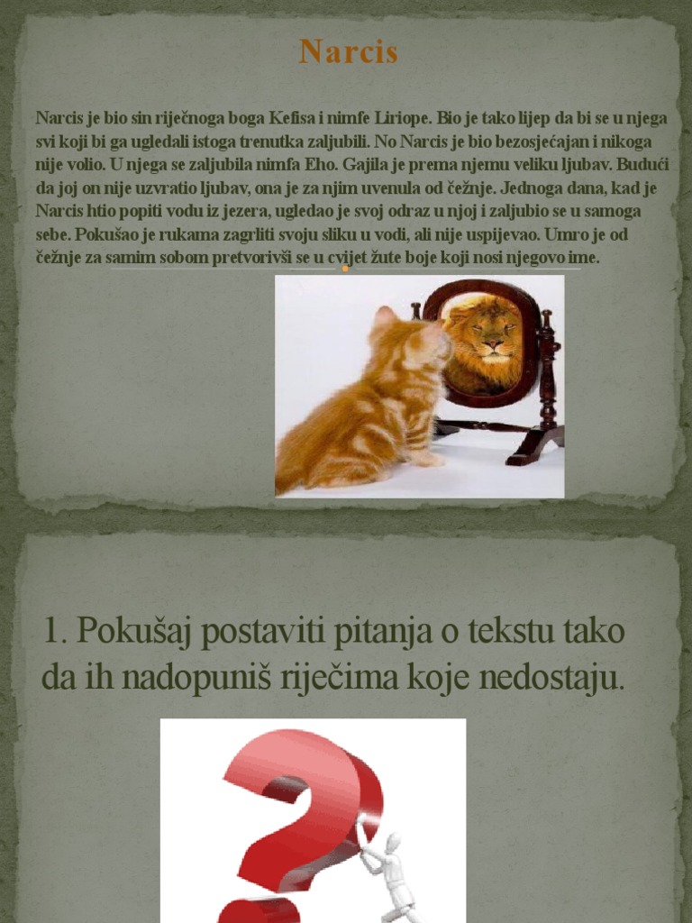 Upitne I Odnosne Zamjenice | PDF