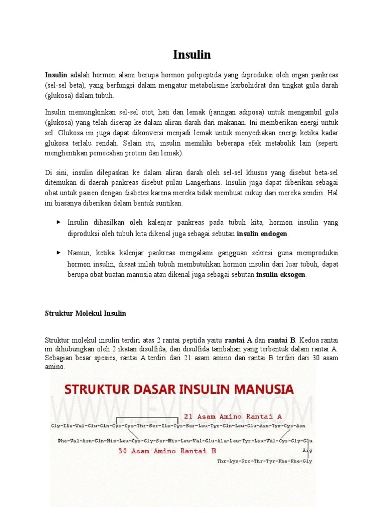 Fungsi dan Sekresi Insulin | PDF