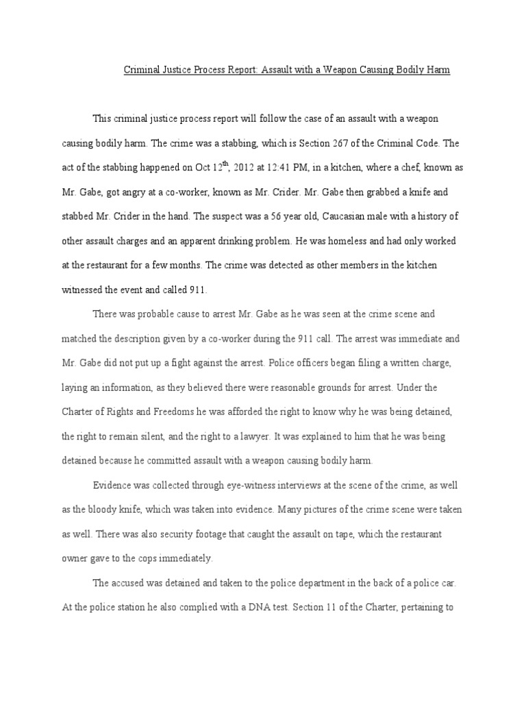 Criminal Justice Process Report Example | PDF | Arrest | Assault