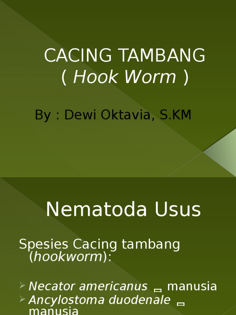 "Cacing Tambang: Infeksi dan Pencegahan" | PDF