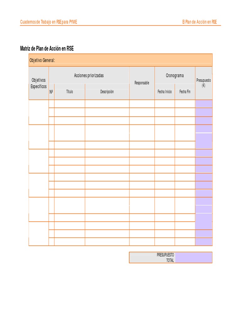 Matriz de Plan de Accion en RSE | PDF | Business