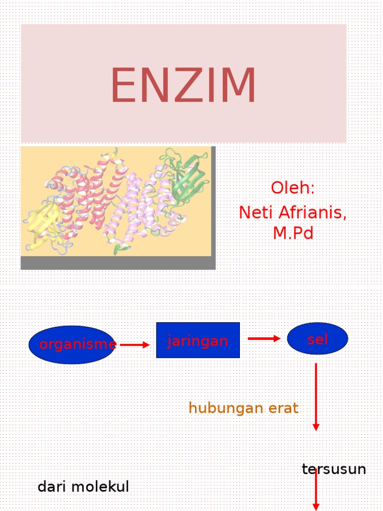 Biokimia Enzim | PDF