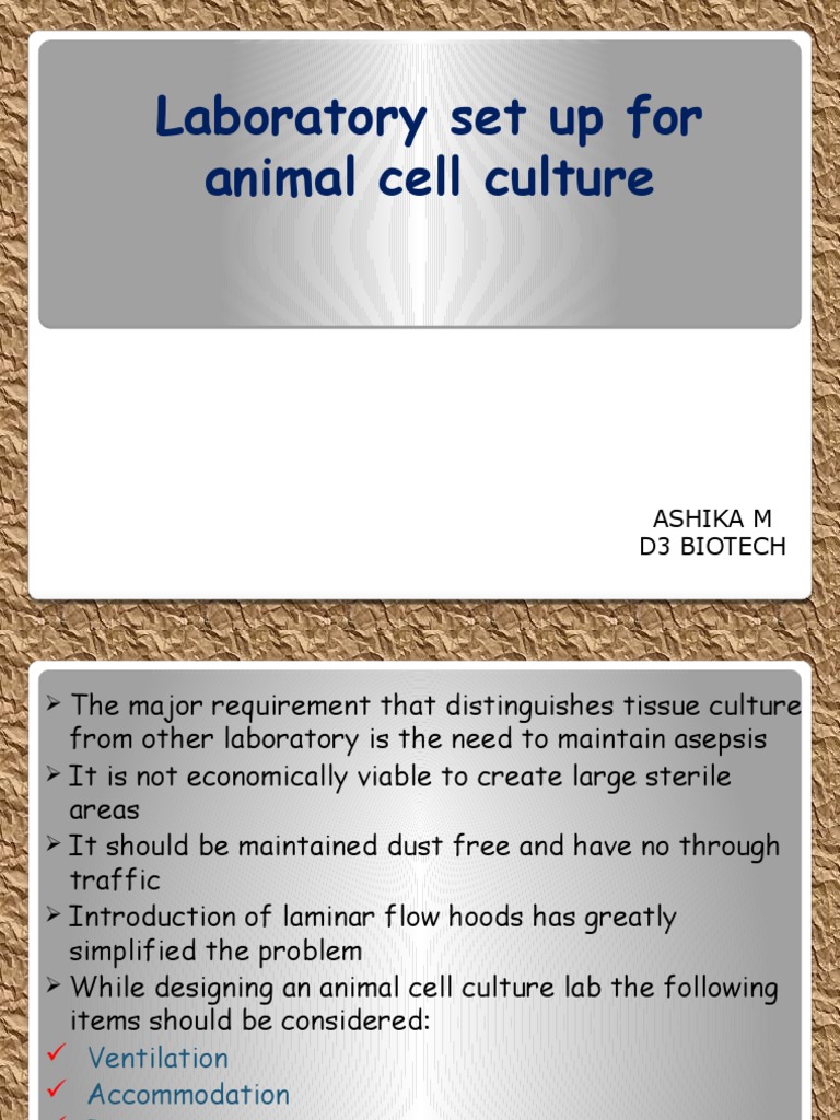Laboratory Set Up For Animal Cell Culture | PDF | Cell Culture ...