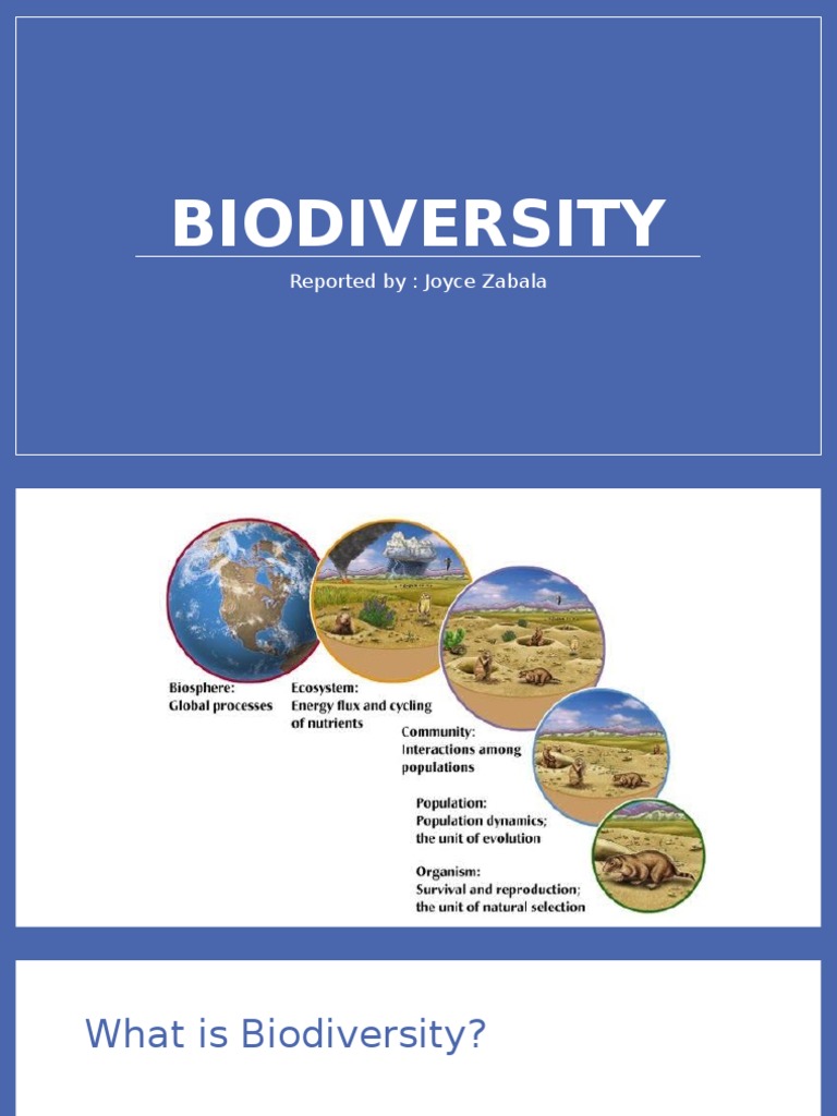 Biodiversity: Reported By: Joyce Zabala | PDF | Genetic Diversity | Ecology