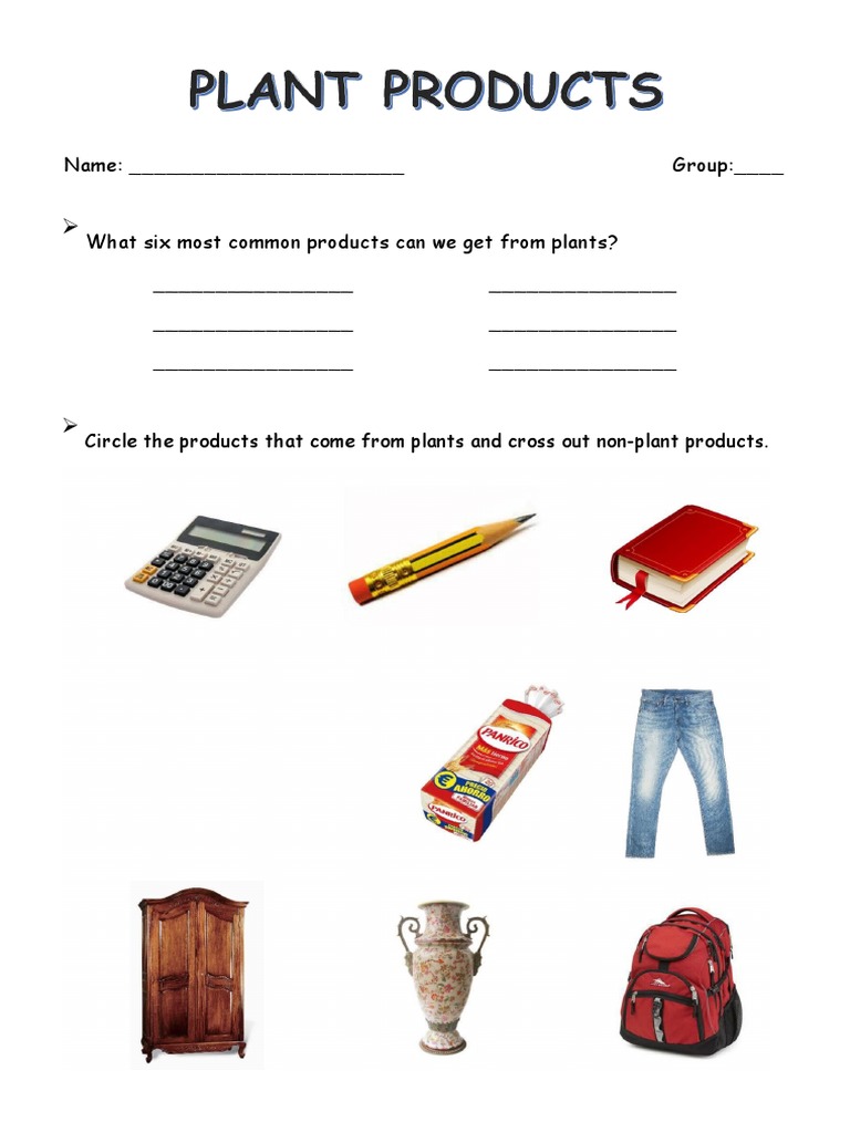 Plant Products Worksheet | PDF