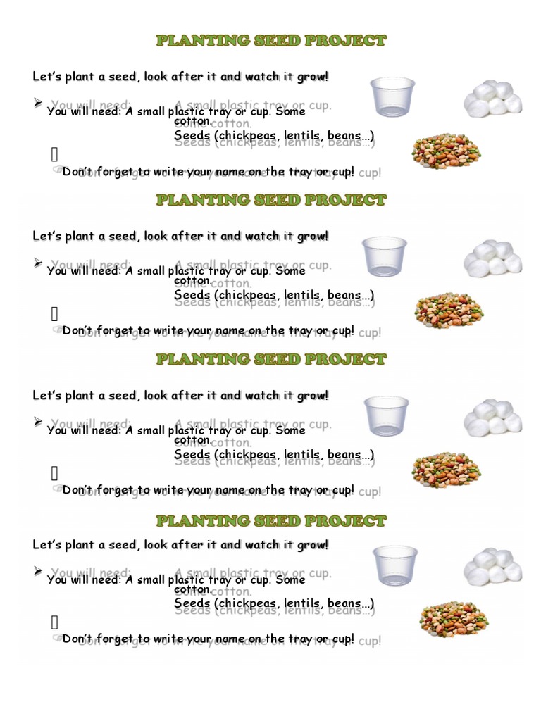 Planting Seed Project | PDF
