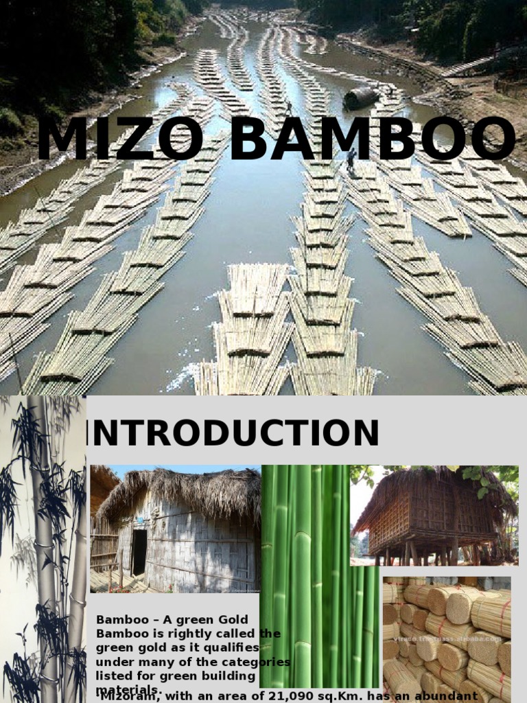Mizo Bamboo: Uses in Housing & Crafts | PDF | Framing (Construction ...