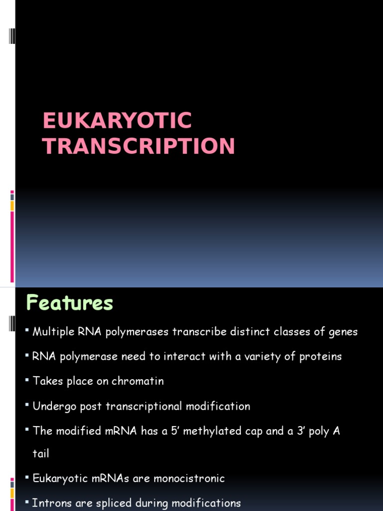 UNIT 7 Eukaryotic Transcription | PDF