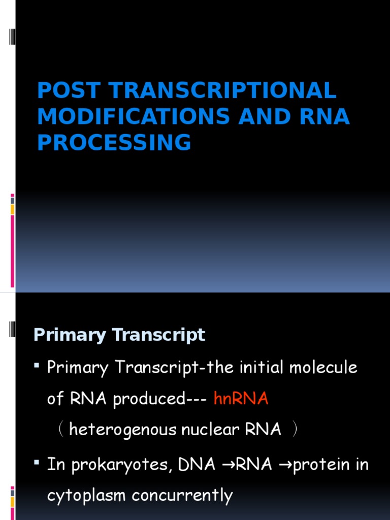 The Complex Processes of Post-Transcriptional Modifications and RNA ...
