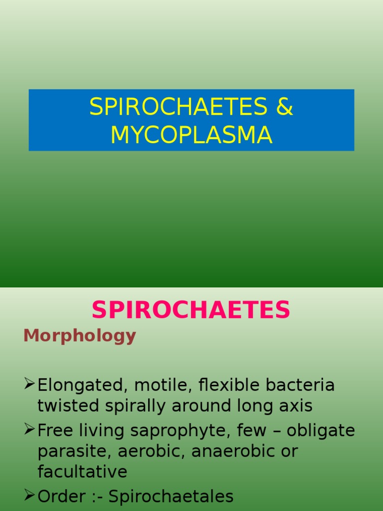 Spirochetes and Mycoplasma Overview | PDF | Infection | Epidemiology