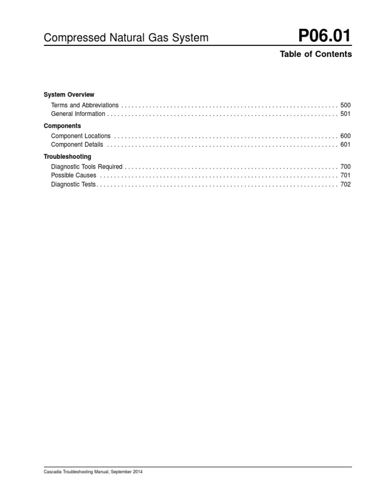 01-Compressed Natural Gas System | PDF | Valve | Leak