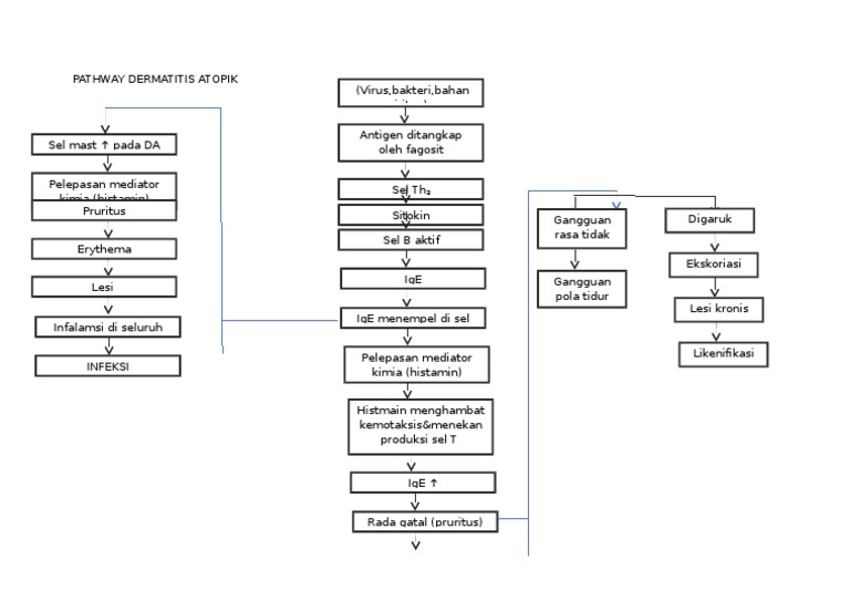 Pathway Dermatitis Atopik