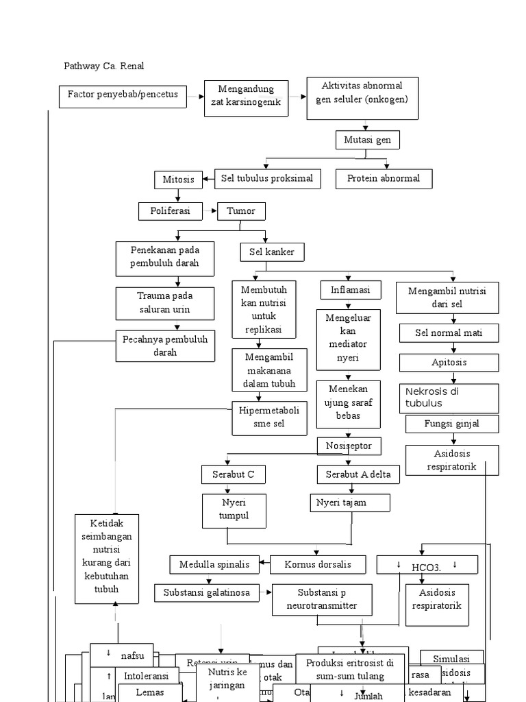 Pathway Ca Renal | PDF