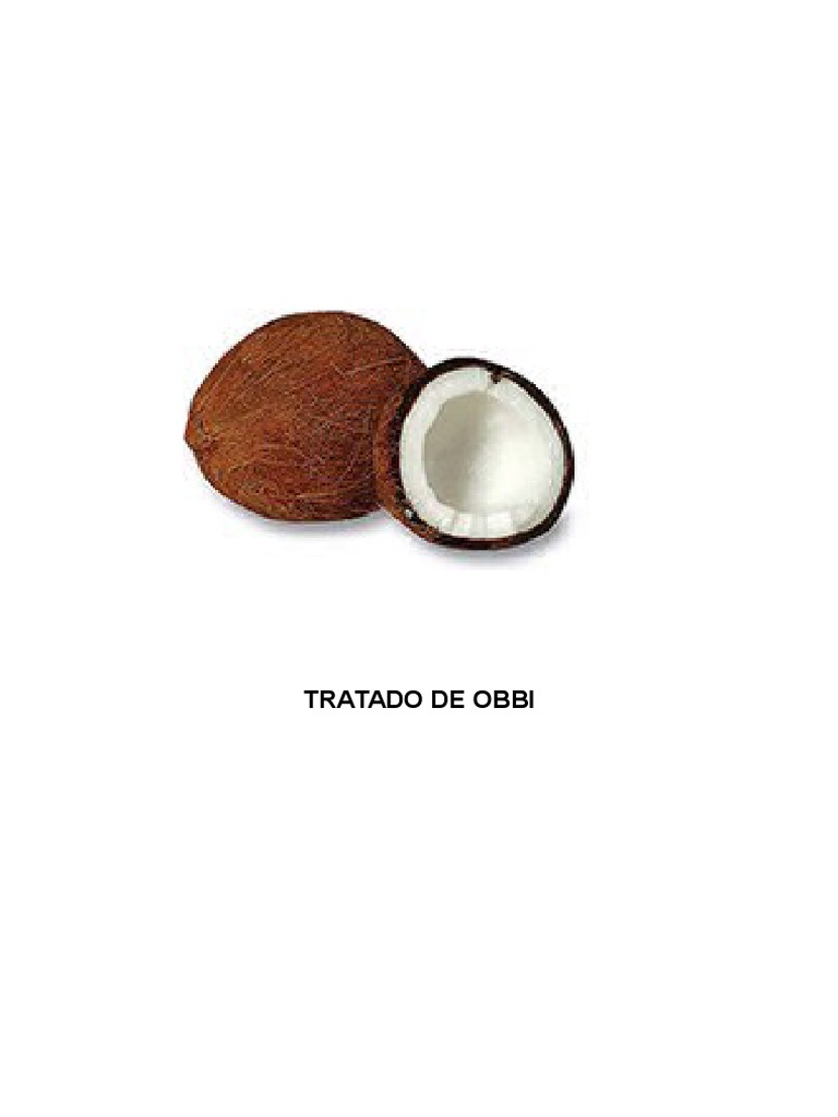 Como Dar Coco | PDF | Santeria | Religión y creencia