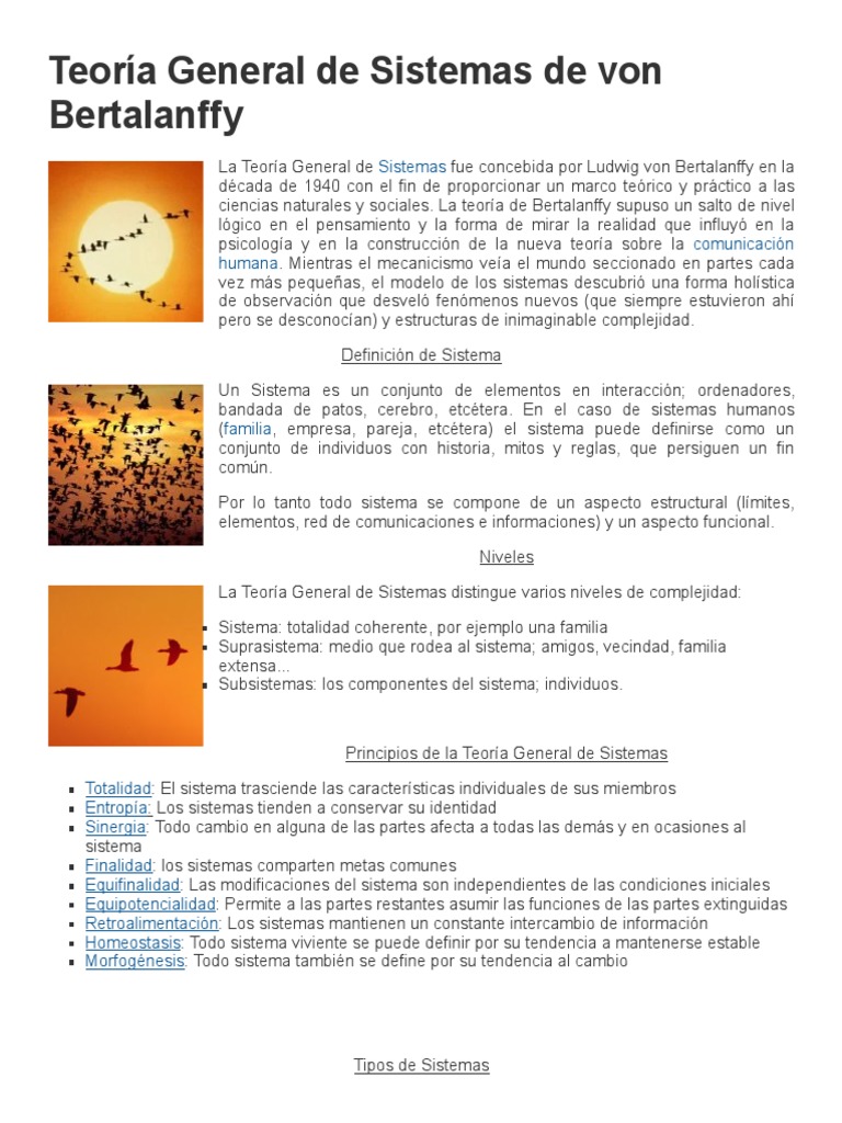 Teoría General de Sistemas de Von Bertalanffy | Teoría de sistemas | Sistema