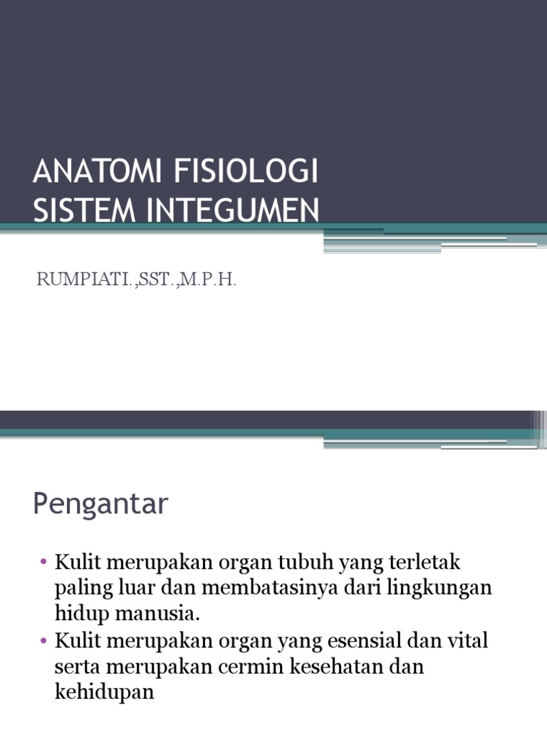 Struktur dan Fungsi Kulit Manusia | PDF
