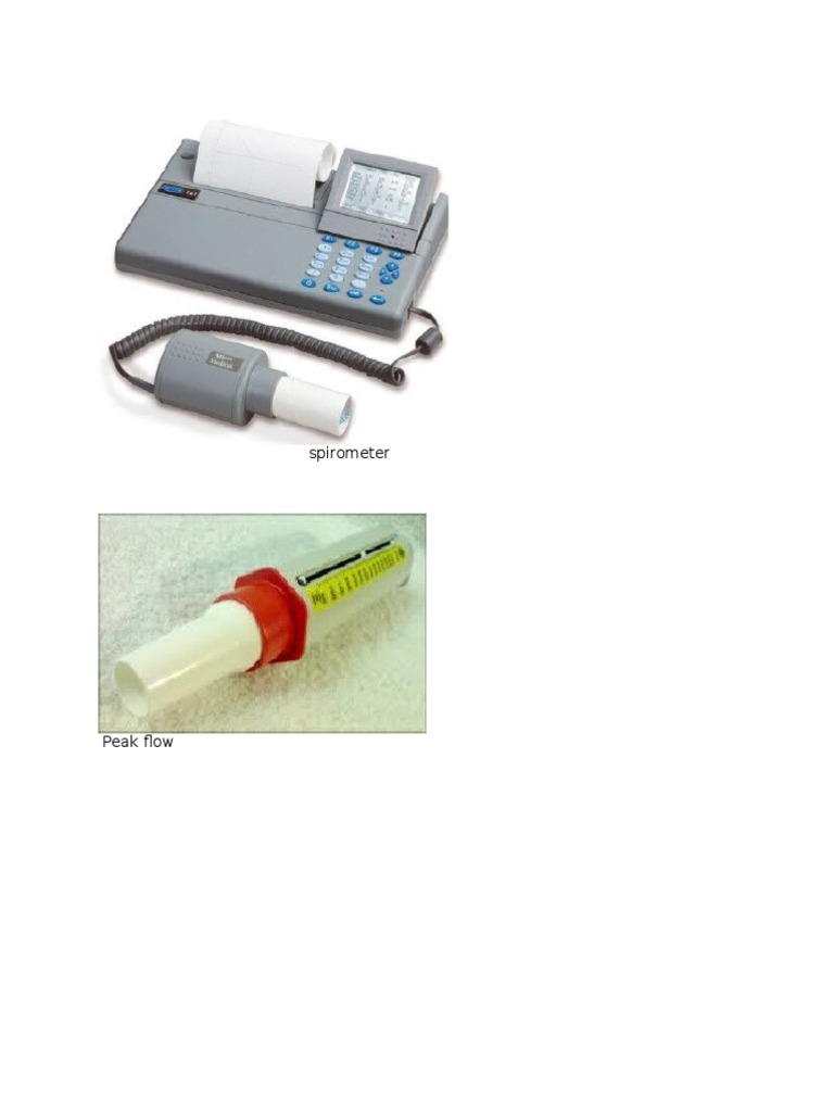Measuring Lung Function: A Guide to Using Spirometers and Peak Flow ...