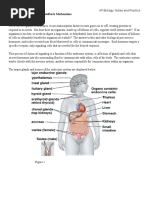 KHDBDCM Metric Conversion Guide | PDF