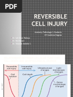 Pathology, Lecture 2, Cell Injury (Slides) | PDF | Medical Specialties ...