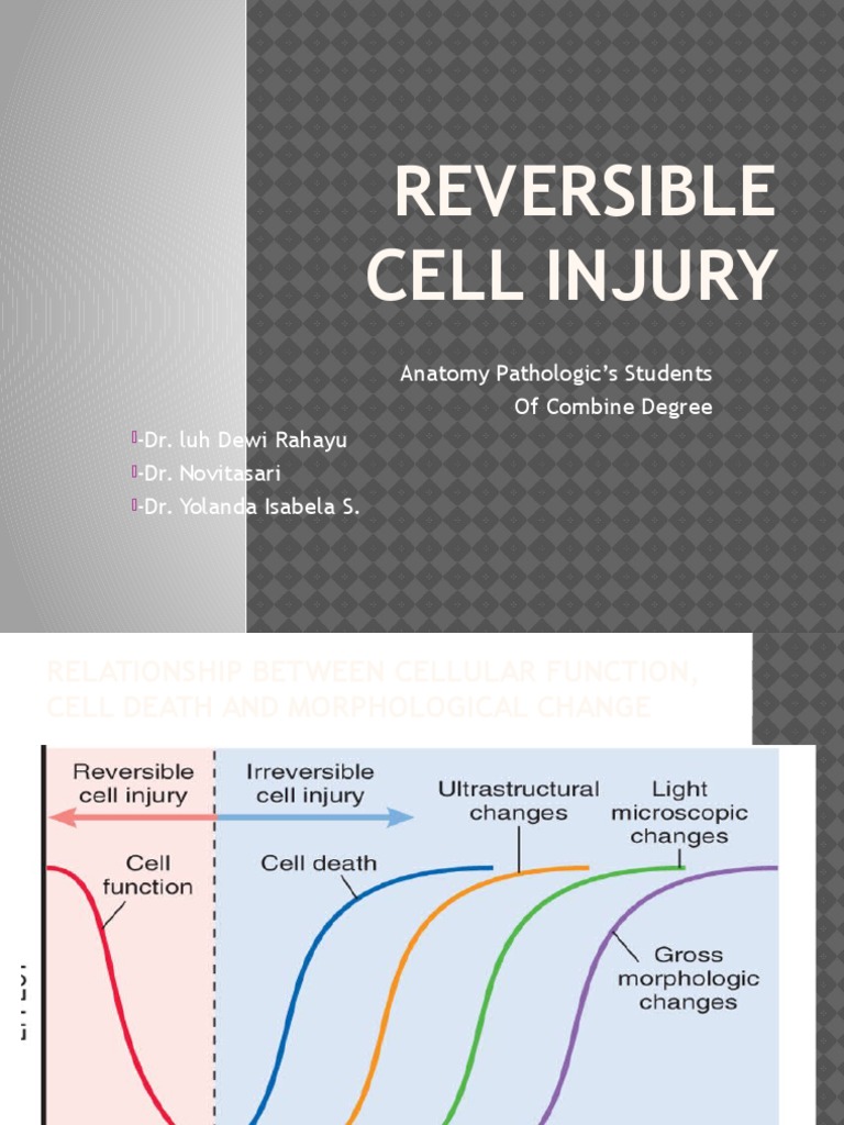 Reversible Cell Injury | PDF | Cell (Biology) | Hypoxia (Medical)