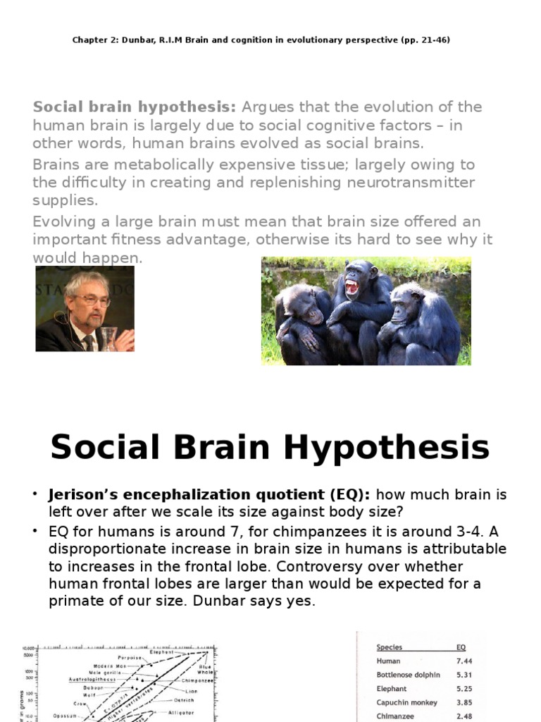Social Brain Hypothesis: Argues That The Evolution of The | PDF | Brain ...