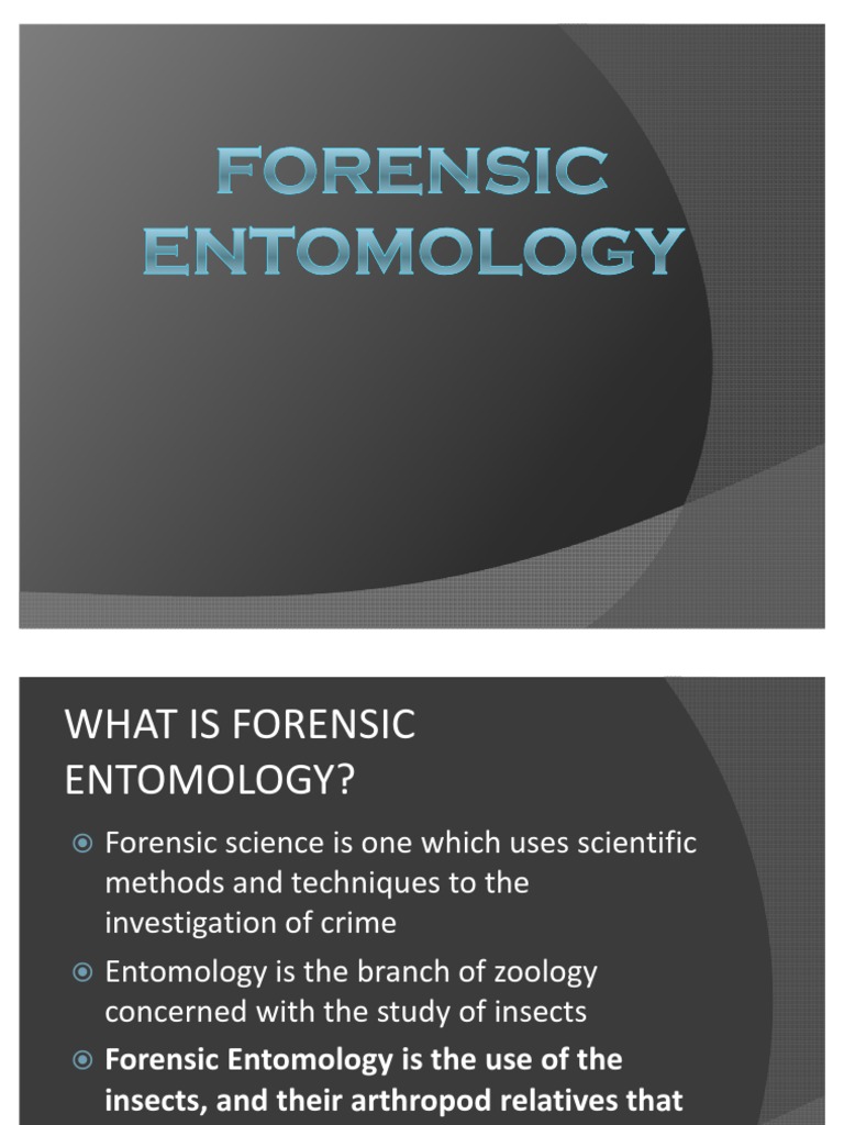Forensic Entomology | PDF | Fly | Insects And Humans