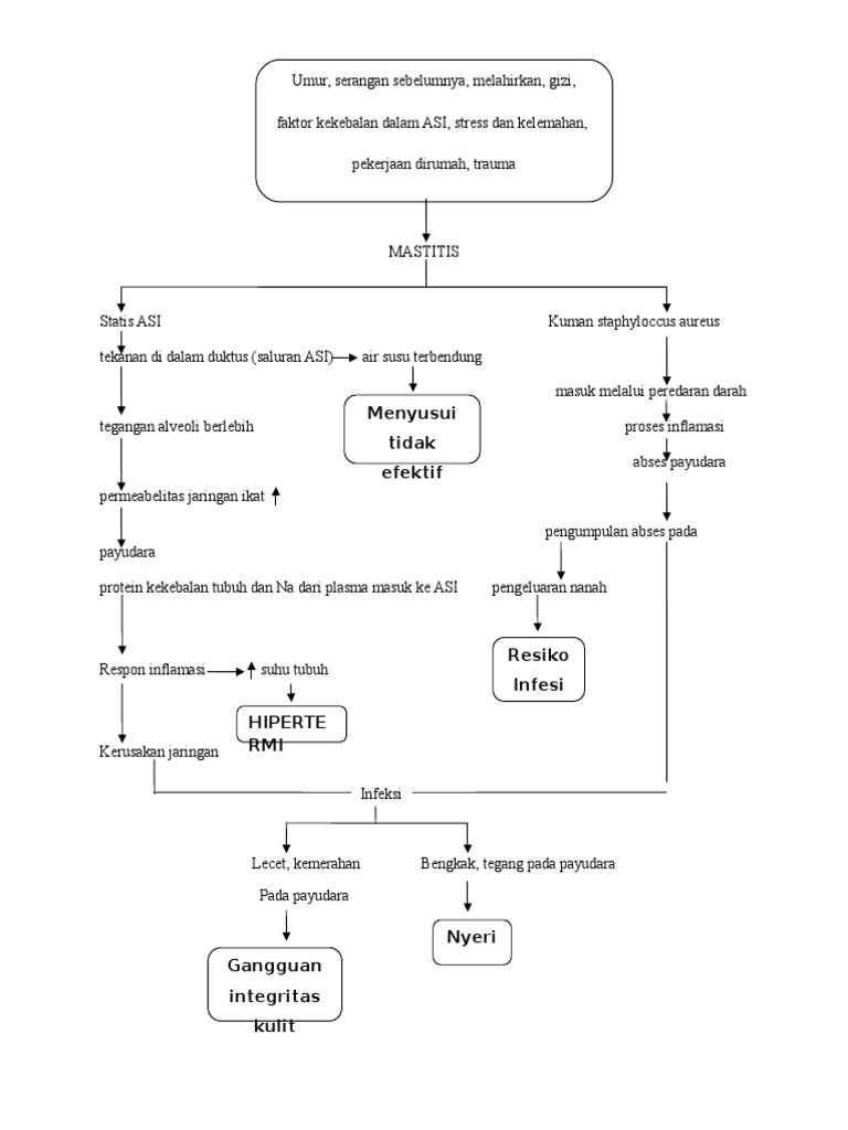 Patway Mastitis | PDF