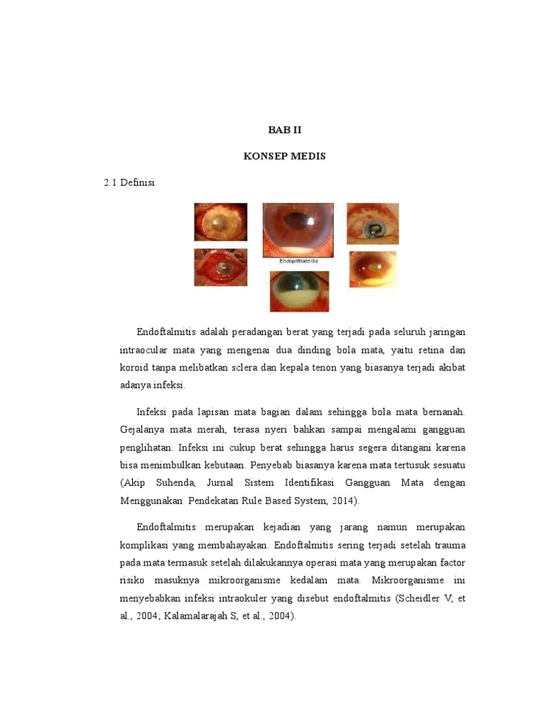 ASKEP Endoftalmitis | PDF