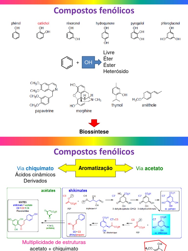 10 Via Acetato Quinonas Nafto | PDF | Compostos fenólicos | Substancias ...