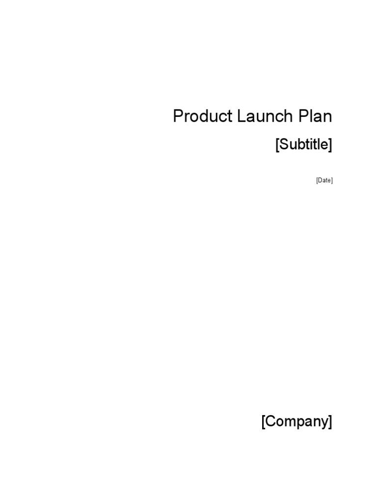 Product Market Launch Plan | PDF | Competition | Market Segmentation