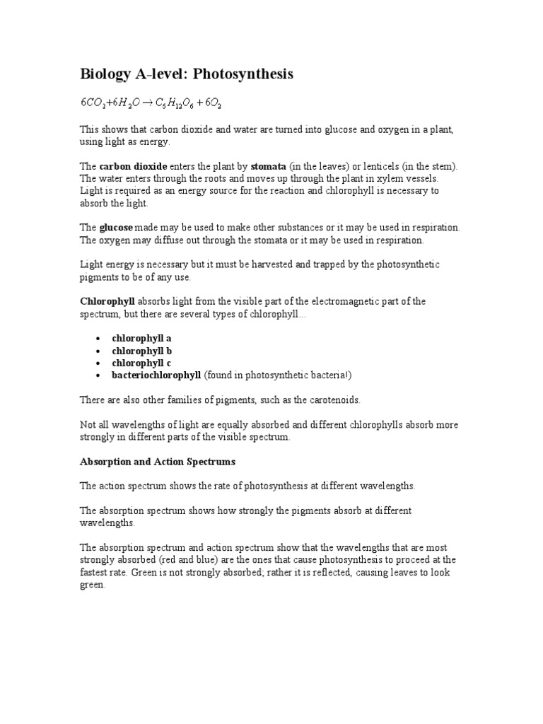 Biology | PDF | Chlorophyll | Photosynthesis