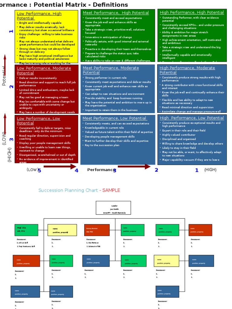 9 Box + Chart Template | PDF | Expert | Cognitive Science