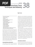 Urology Medical Terminology | PDF | Urinary System | Kidney