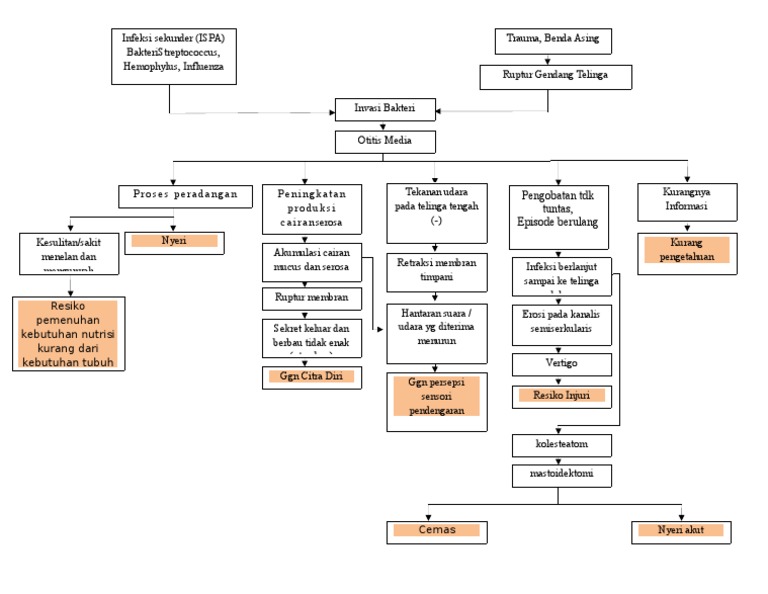 WOC Otitis Media | PDF