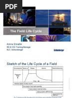 Oil and Gas Field Life Cycle Stages | PDF | Petroleum Reservoir ...