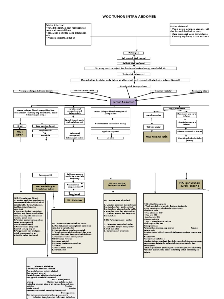 WOC Tumor Abdomen Perbaikan | PDF
