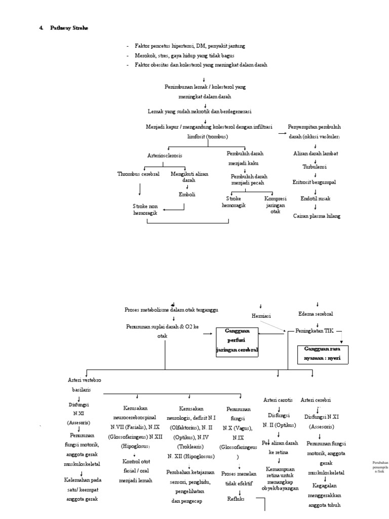 Pathway Stroke | PDF