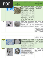 Atlas de Micologia Corregido | PDF | Hongo | Aspergilo